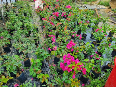 √ 4 Senarai Kedai Bunga Famous & Best di Kuala Rompin